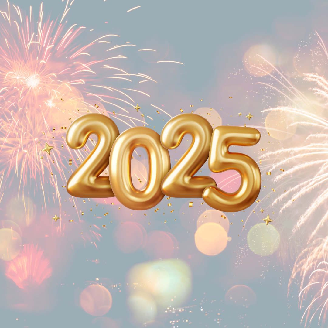Our ambitions for 2025 - DupMECP2